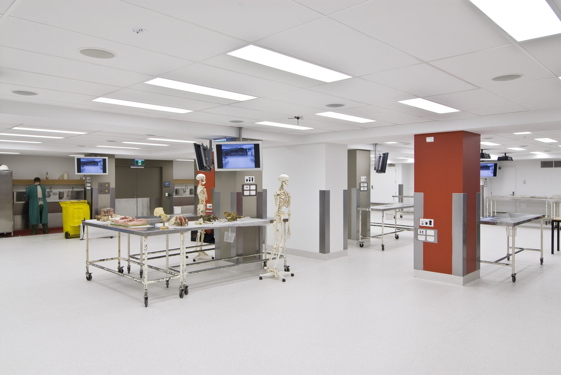 University of Adelaide Medical School Bio Skills and Dissection ...